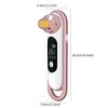 Sw-Rm-1706 Microcurrent Facial Machine Exquisite Craft Intelligent Design