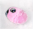 Wireless Silicone Face Exfoliator Brush Induction Charging For All Skin Type
