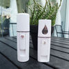 Women Nano Handy Mist Spray Steam Moisture Professional Dry Skin Care Cleanser