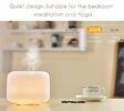 Circular Column Microcurrent Facial Machine Mini Humidifier Aroma Diffuser