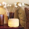 Food Grade Microcurrent Facial Machine Round Ceiling Essential Oil Diffuser Humidifier