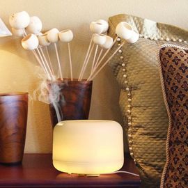 Food Grade Microcurrent Facial Machine Round Ceiling Essential Oil Diffuser Humidifier