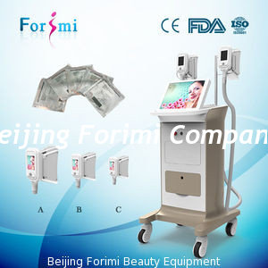 2 cryo handles fat freezing device Manufacturer Best Price Two Handle Cryolipolysis Machine