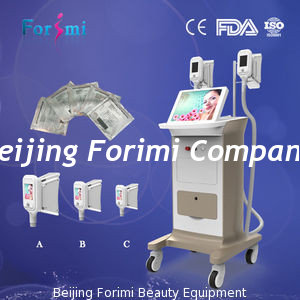 2 handles cryolipolysis Popular In USA Cool Cryolipolysis Fat Melting Machine