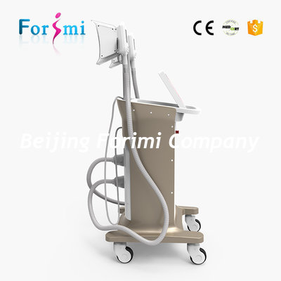 12 Inch Touch Screen 2 handles cryolipolysi Weight Loss Cryolipolysis Equipment With 2 Handles