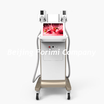 Fast Slimming fat freezing Machine 1800W 35KG body slimming Cryolipolysis machinie