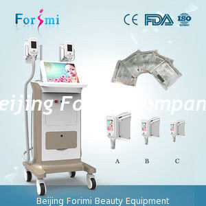 2 cryo handles cold body sculpting machine Beauty Equipment Cryolipolysis Lose Weight