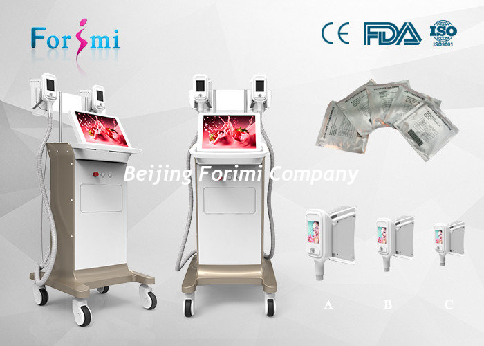 2018 fat freeze cryolipolisis Safe Effective 0-100kPa Vacuum Cryolipolysis Slimming Machine