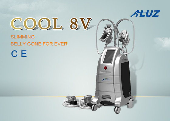 China Professional Small Cryolipolysis Vacuum Machine Fat Reduction Slimming Beauty Equipment supplier