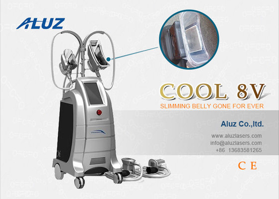 China Continual Cryotherapy Cryolipolysis Vacuum Machine For Weight Loss supplier
