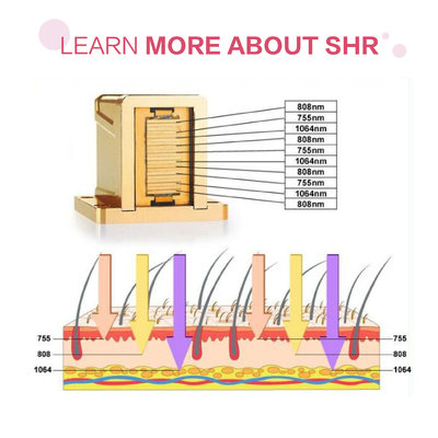 Hot-selling desktop multi-function 755 808 1064 diode laser hair removal instrument supplier