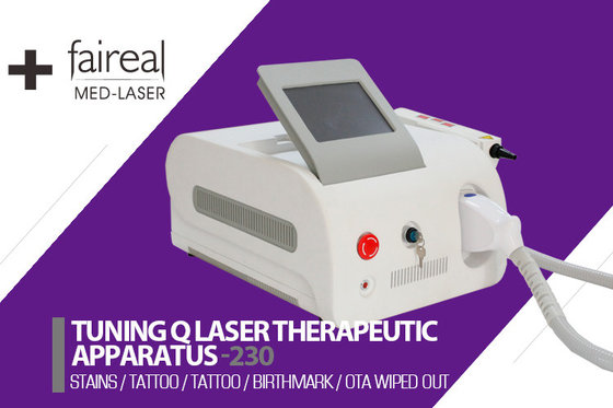 China Home ND Yag Laser Hair Removal Tattoo Removal Whitening Skin supplier