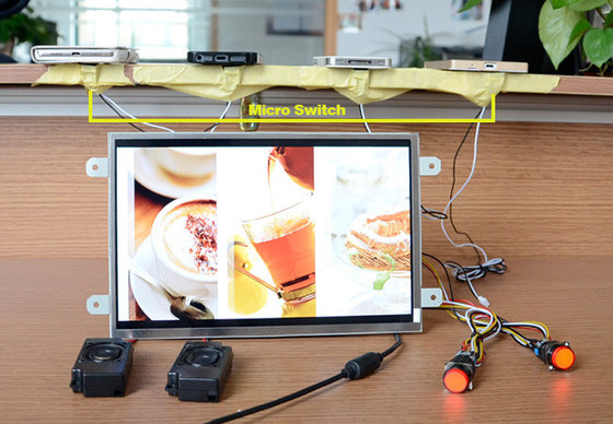 10.1" 1080P Open Frame LCD Monitor