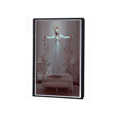 Open Frame LCD Monitor 1080P HD Decode Digital Signage Display For Schools
