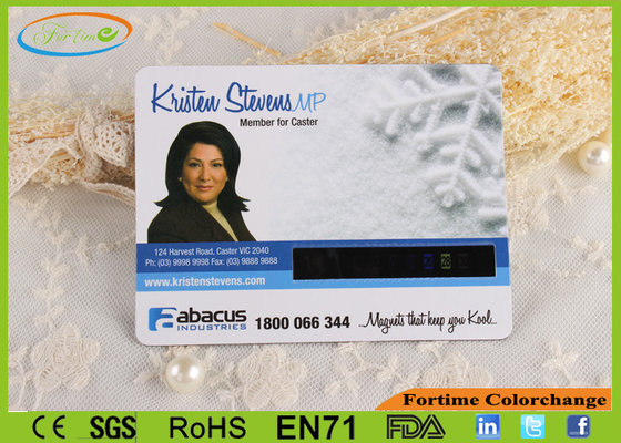 Liquid Crystal Little Room Color Change Thermometer Card With Magnet