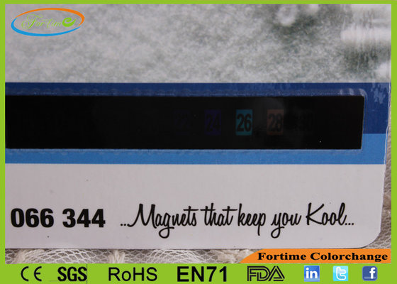 Liquid Crystal Little Room Color Change Thermometer Card With Magnet
