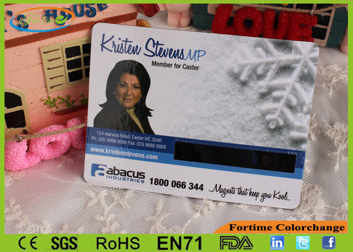 Liquid Crystal Little Room Color Change Thermometer Card With Magnet