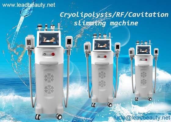 -15℃ cooling Beauty Fat Reduce Cryolipolysis Slimming Machine with 12 inch LCD screen