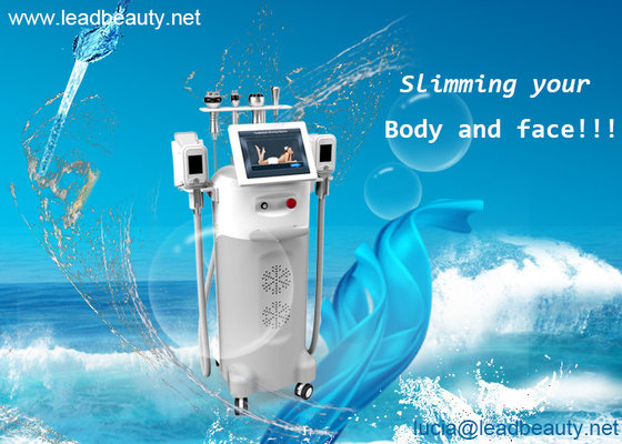 -15℃ to 5℃ cool cryolipolysis slimming /40K cavitation RF for clinic or salon with 14 inch screen for leg arm abdomen