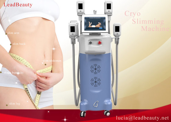 Cryolipolysis Fat Freeze Slimming Machine For Fat Reducing With 1000W Output Power