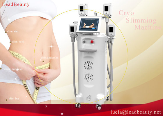Cryolipolysis Fat Freeze Slimming Machine For Fat Reducing With 1000W Output Power