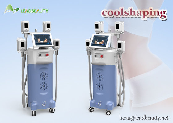 2-3cm fat reduction Cryolipolysis slimming machine / 2 working heads fat freezing / 12 hours non-stop working slimming