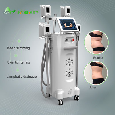 CE approved! 12 inch big screen Cryolipolysis Fat Freeze Slimming Machine For Fat Reducing With 1600W Output Power