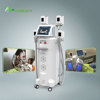 Factory price 4 handles Cryolipolysis Fat Freeze Slimming Machine With 1600W Output Power
