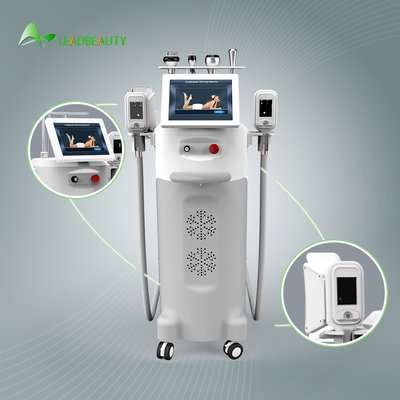 Factory price 4 handles Cryolipolysis Fat Freeze Slimming Machine With 1600W Output Power