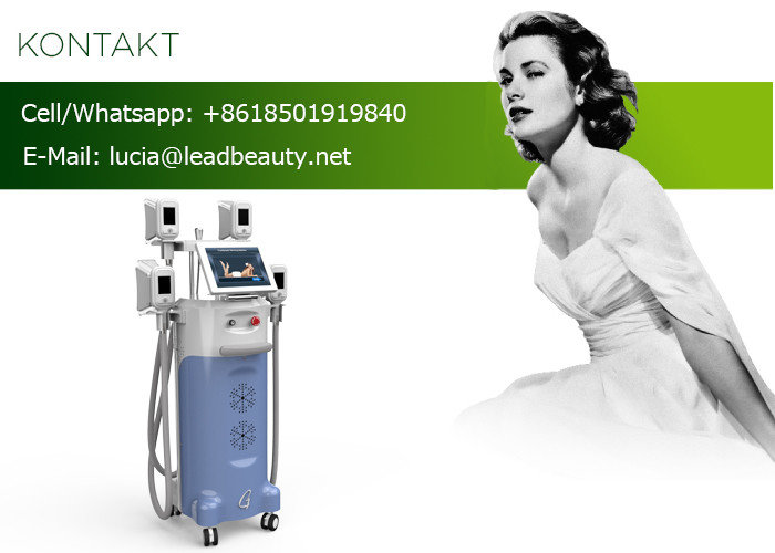 Cryolipolysis Fat Freeze Slimming Machine For Fat Reducing With 1000W Output Power