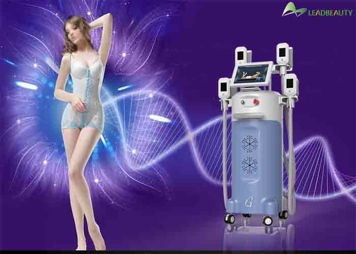 Factory price 4 handles Cryolipolysis Fat Freeze Slimming Machine With 1600W Output Power