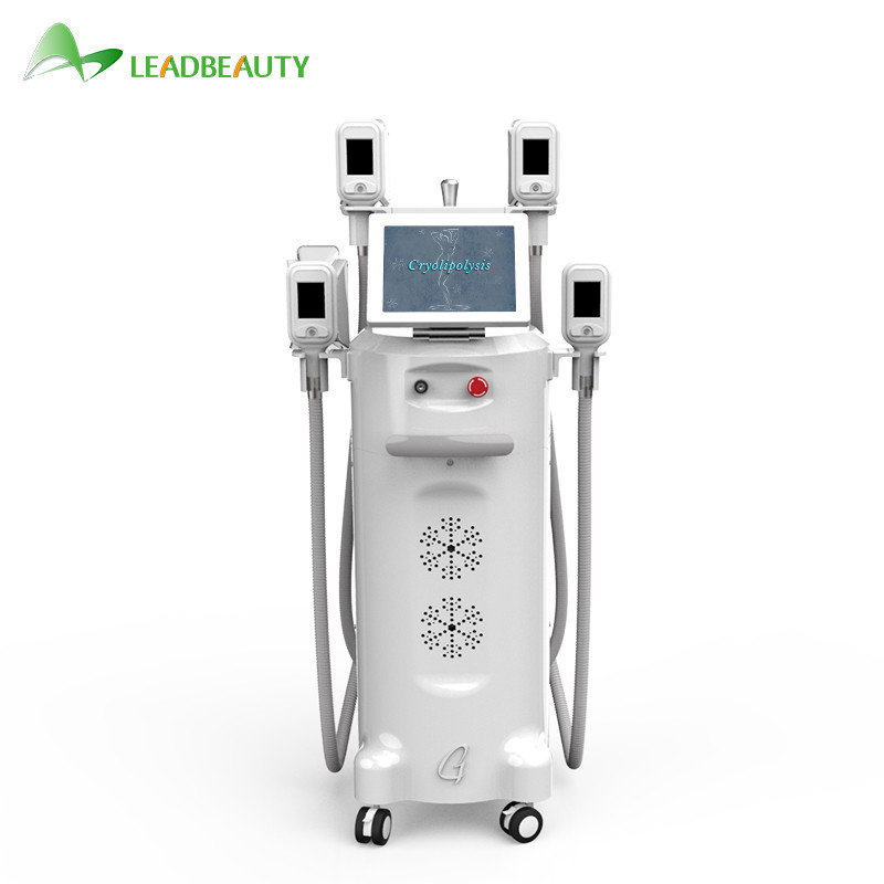 Factory price 4 handles Cryolipolysis Fat Freeze Slimming Machine With 1600W Output Power