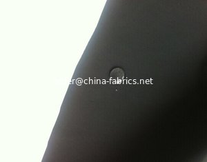 China Taslan fabric, Polyester & Nylon 184T,196T,228T supplier