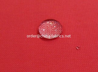 China Polyester honey taslan, Jacquard taslan fabric supplier