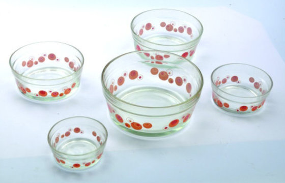 Clear Food Storage Decorative Glass Bowls Glass Mixing Bowl Set