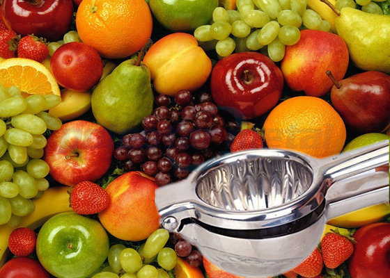 Commercial Kitchen Tools Manual Stainless Steel Lemon Squeezer Juicer