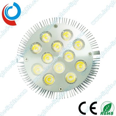 12 X 1 W High Power  Home and office Cree, Epistar LED PAR38 Bulbs Lighting Lamps
