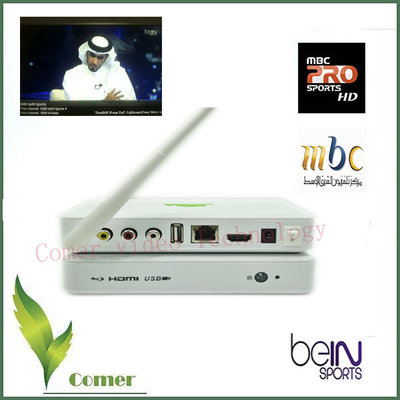 500 corteza androide androide A9 de la caja HD IPTV de la CAJA árabe IPTV de los canales con la cámara IP