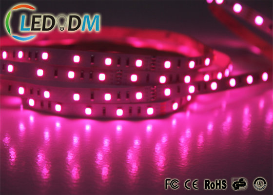 4.8W SMD 3528 LED Strip Light 12V 24V For Indoor / Outdoor Decoration