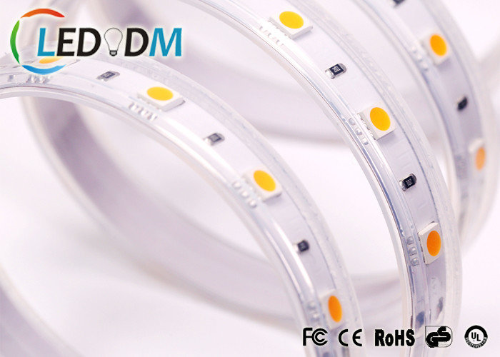 60 LEDs/M SMD 5050 LED Strip Light 12V / 24V With 3M Rubber Back Plate