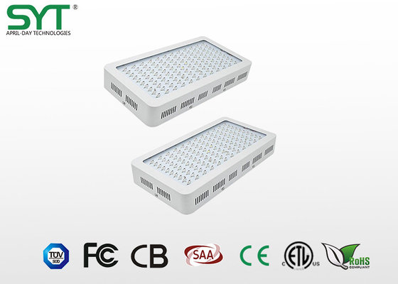 High Efficient Full Spectrum 300W LED Grow Light for Medical Plants Veg and Bloom Indoor Plant 3 Years Warranty