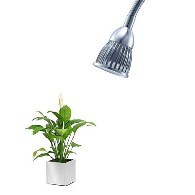 5W LED Grow Light with Epistar high power led and 3 years warranty home plant