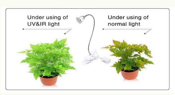 Vegetative Growth LED Growing Light Indoor Garden Lighting 50 / 60HZ