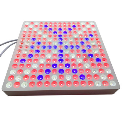 Waterproof Led Greenhouse Lights , High - Bright SMD Led Horticulture Grow Lights For Weed
