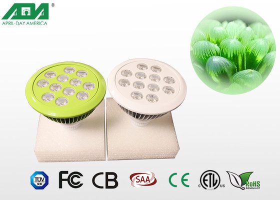 Fashionable 24w Horticulture LED Lights for growing plants , Red + Blue Color