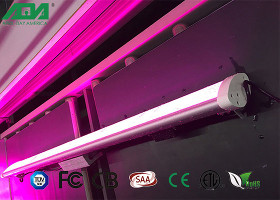 Tri-proof 60W 90W 140W Greenhouse Used LED Growing Light For Lettuce And Tomato Growing