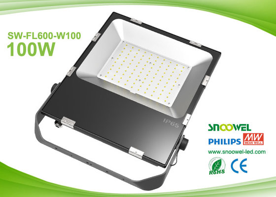 China CE Approval 100w Led Floodlight Outdoor Led Flood Light Super Brightness supplier