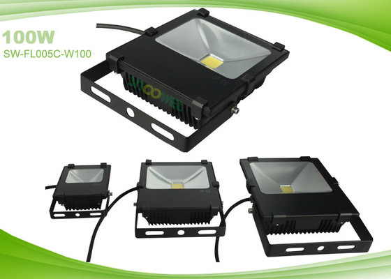 Black Shell CE RoHS UL 100w LED Flood Light Bulb with Epistar or Bridgelux Chip 110v 220v supplier