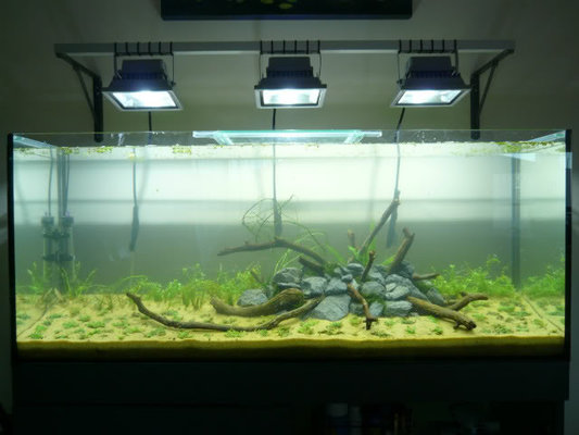 Waterproof Warm White 20W Outdoor LED Flood Light Equivalent 200w Halogen for Aquarium supplier