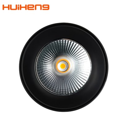 HH24 Alu Cylinder 7W 15W 20W 30W 35W Black Surface Mounted COB Led Downlight ,Ceiling Led Pendant Downlight supplier